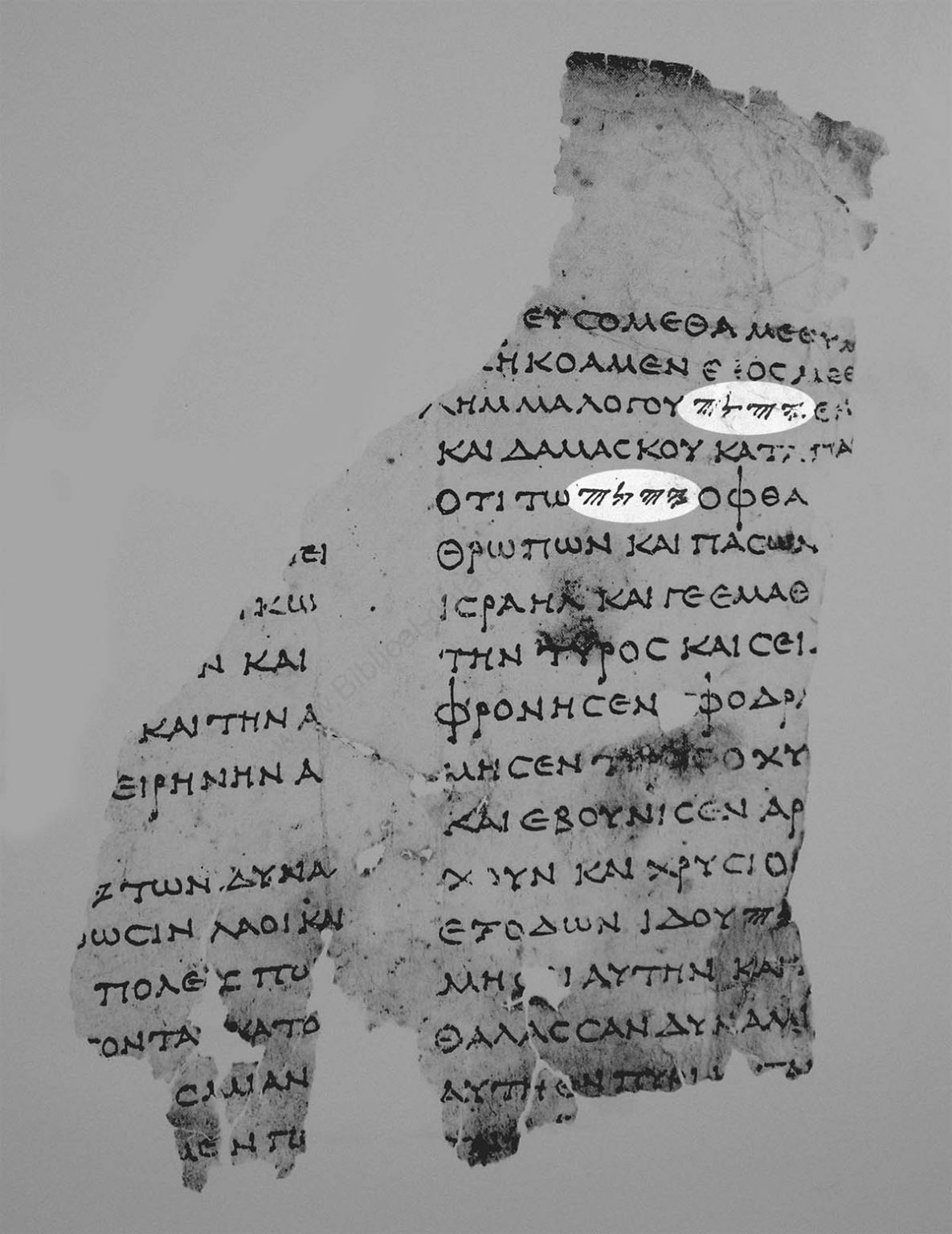 The Legacy of the First Revised Bible Translations