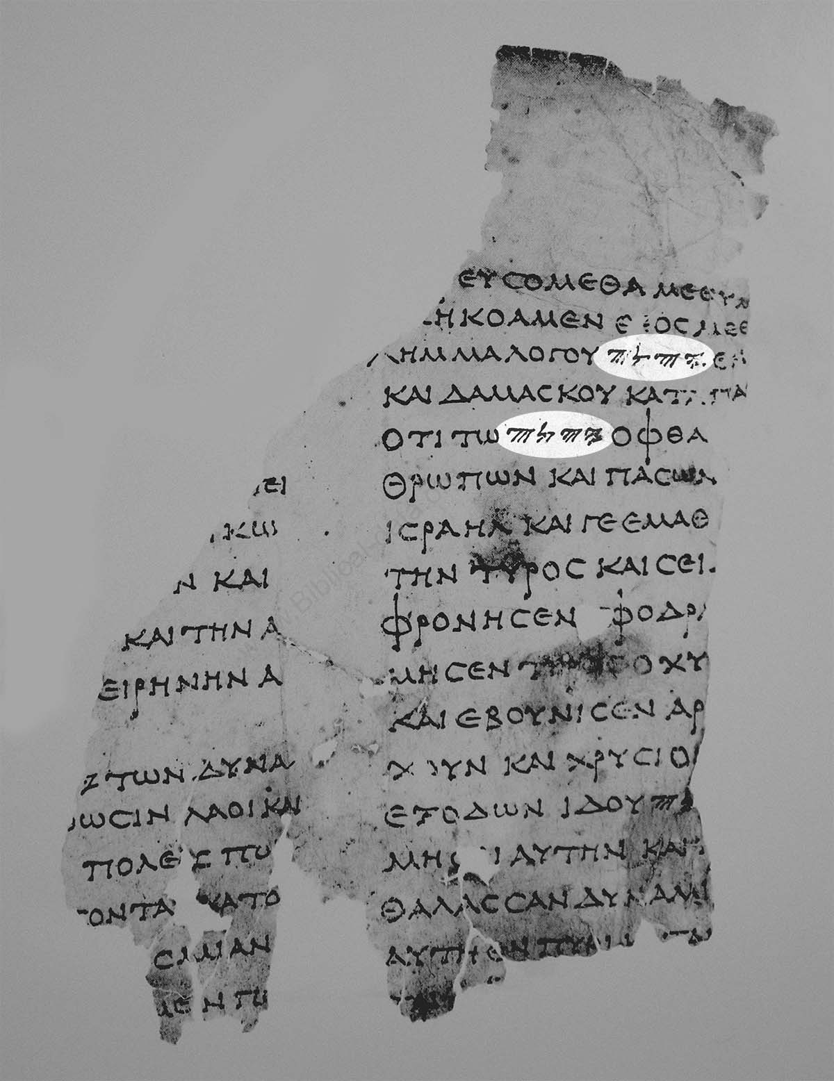 The Legacy of the First Revised Bible Translations